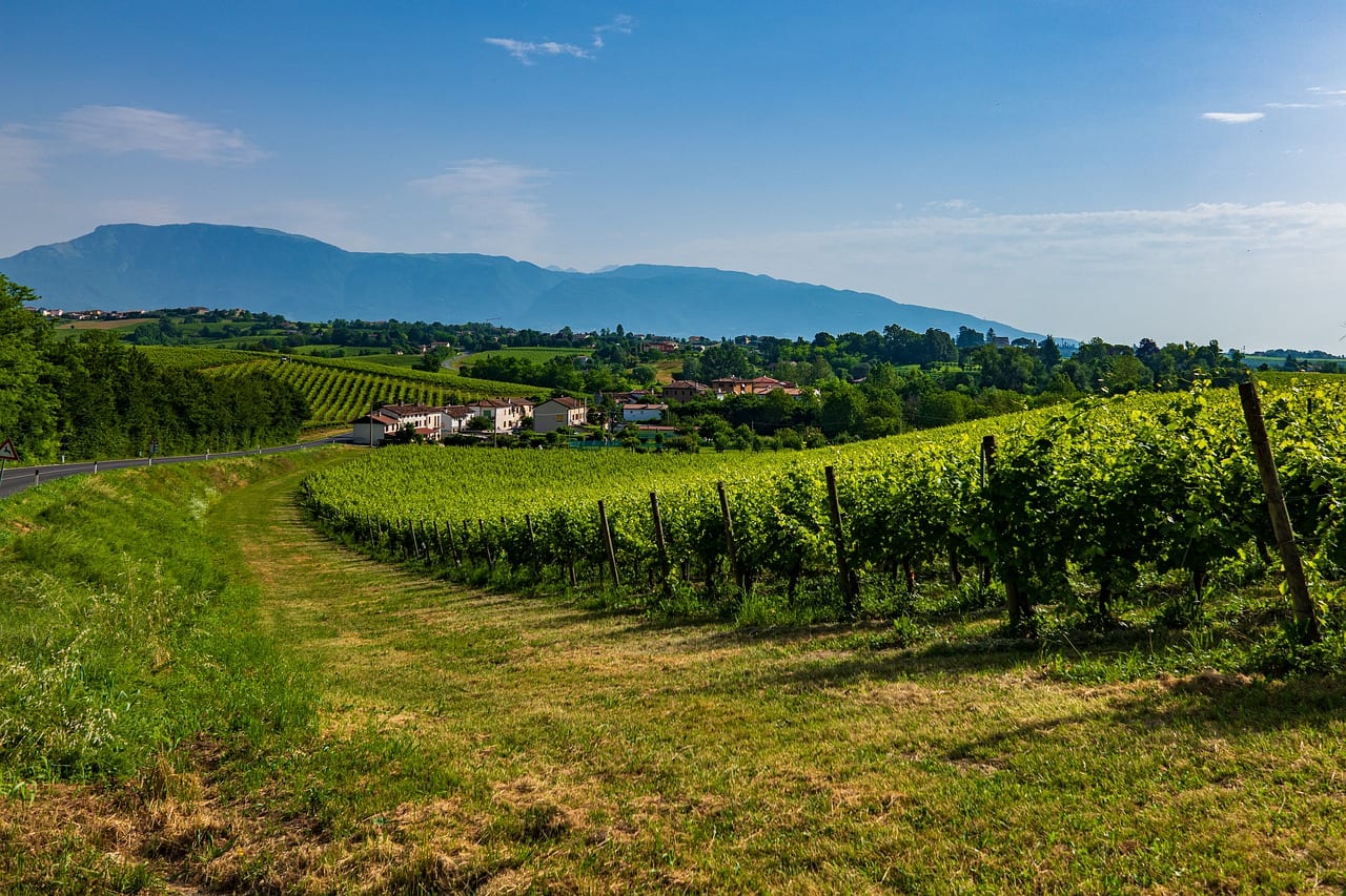Le colline del prosecco diventano patrimonio dell'umanità