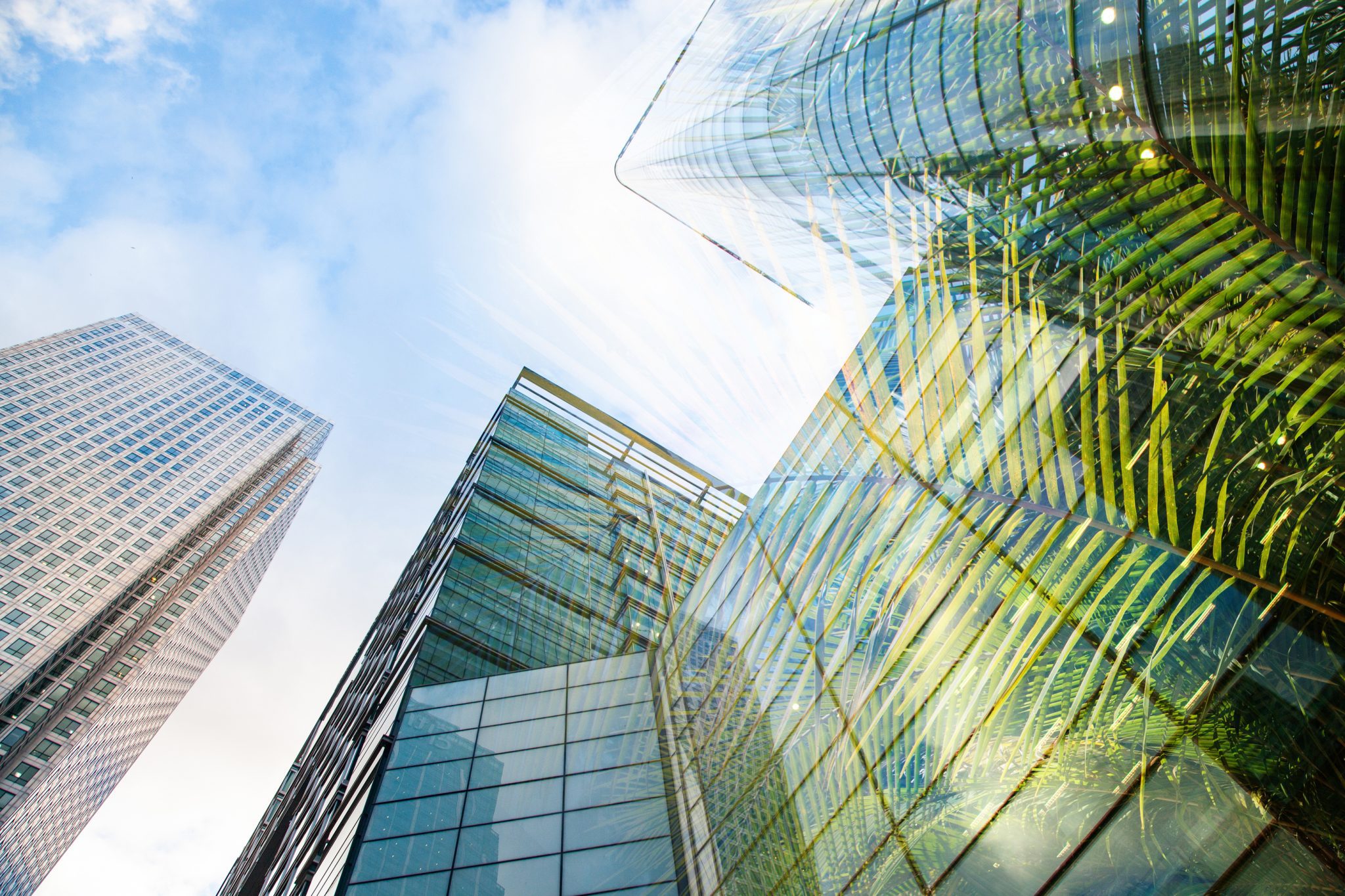Impact investing: cresce il mercato italiano degli investimenti a impatto Impact investing: cresce il mercato italiano degli investimenti a impatto