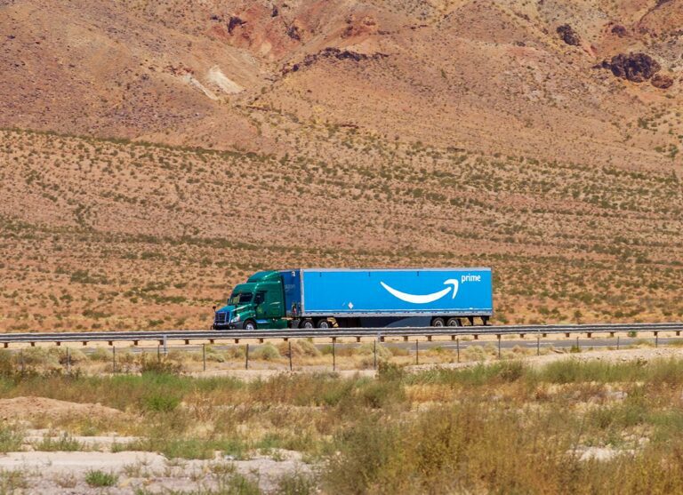 Amazon: same day delivery per retail - Millionaire