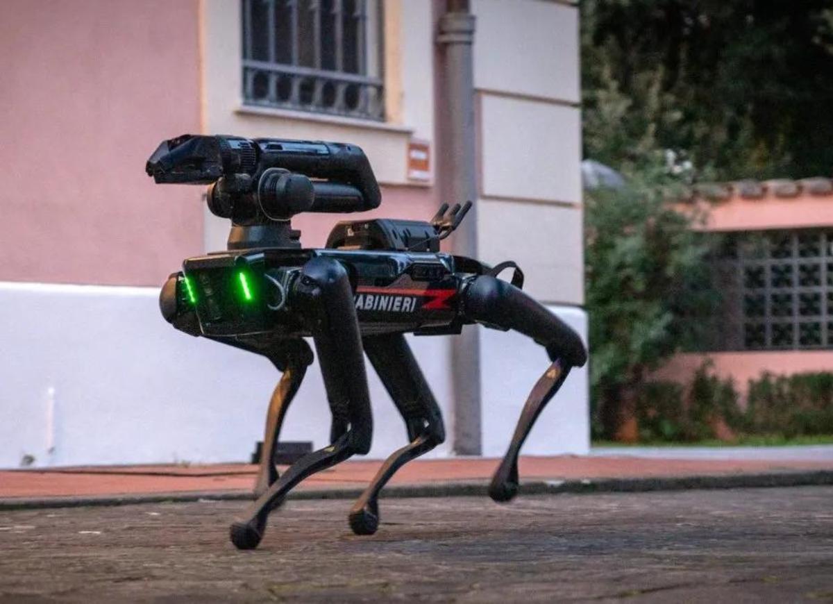 Saetta, il primo cane robot ad entrare in servizio con l'Arma dei ...